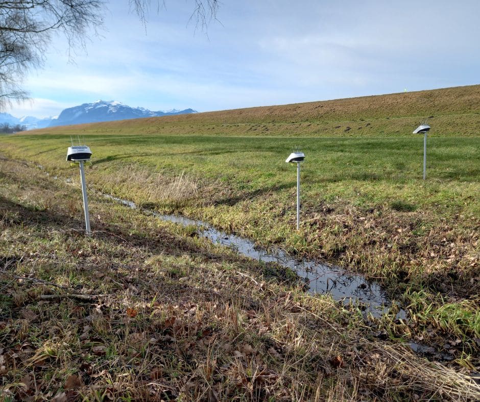 RHESI Levee Monitoring, Alpine Rhine Valley - Basetime
